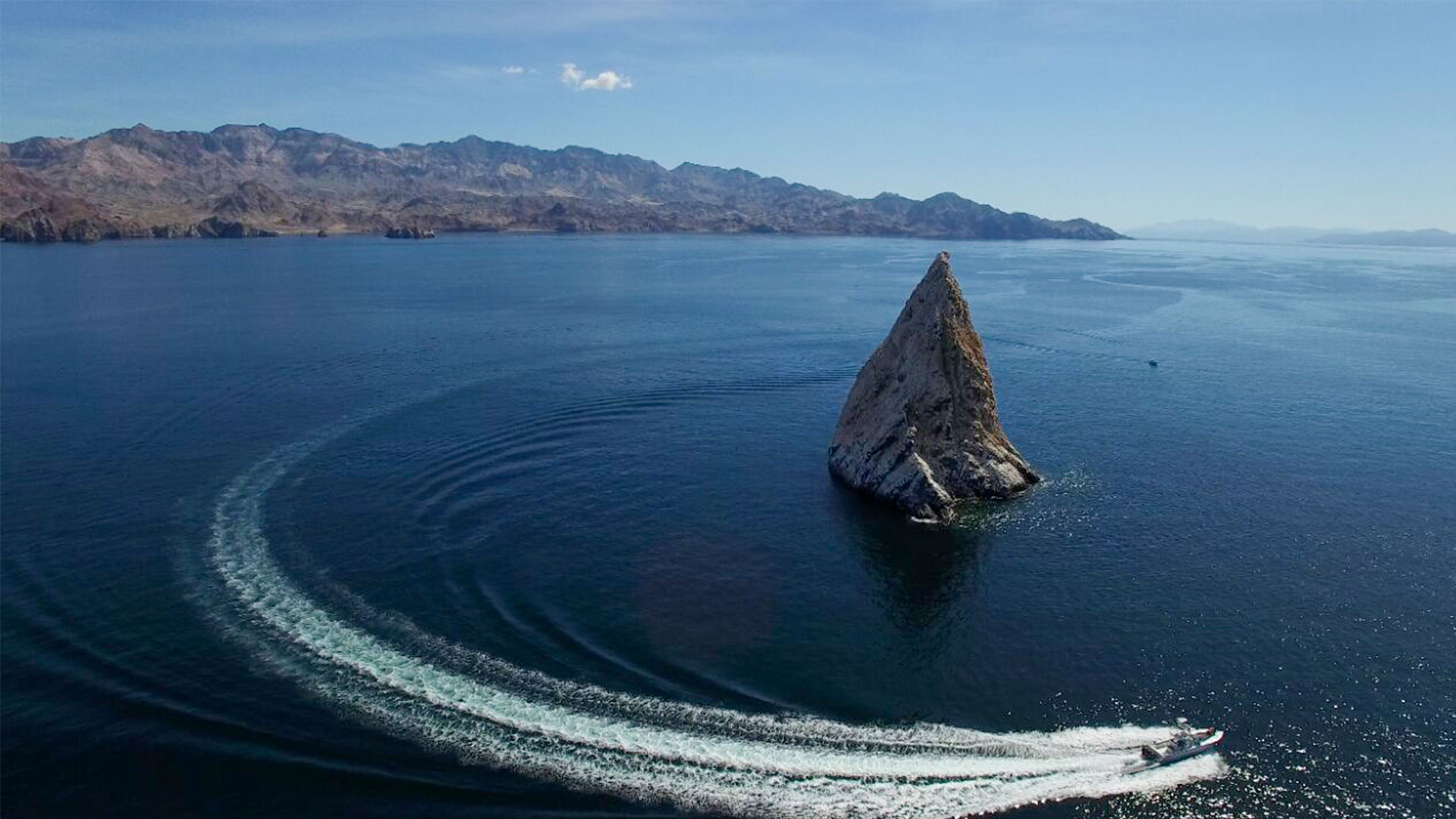 Baja California Sport Fishing Official Website