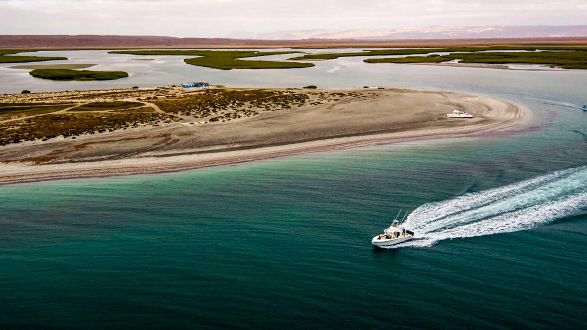 Baja California Sport Fishing Official Website