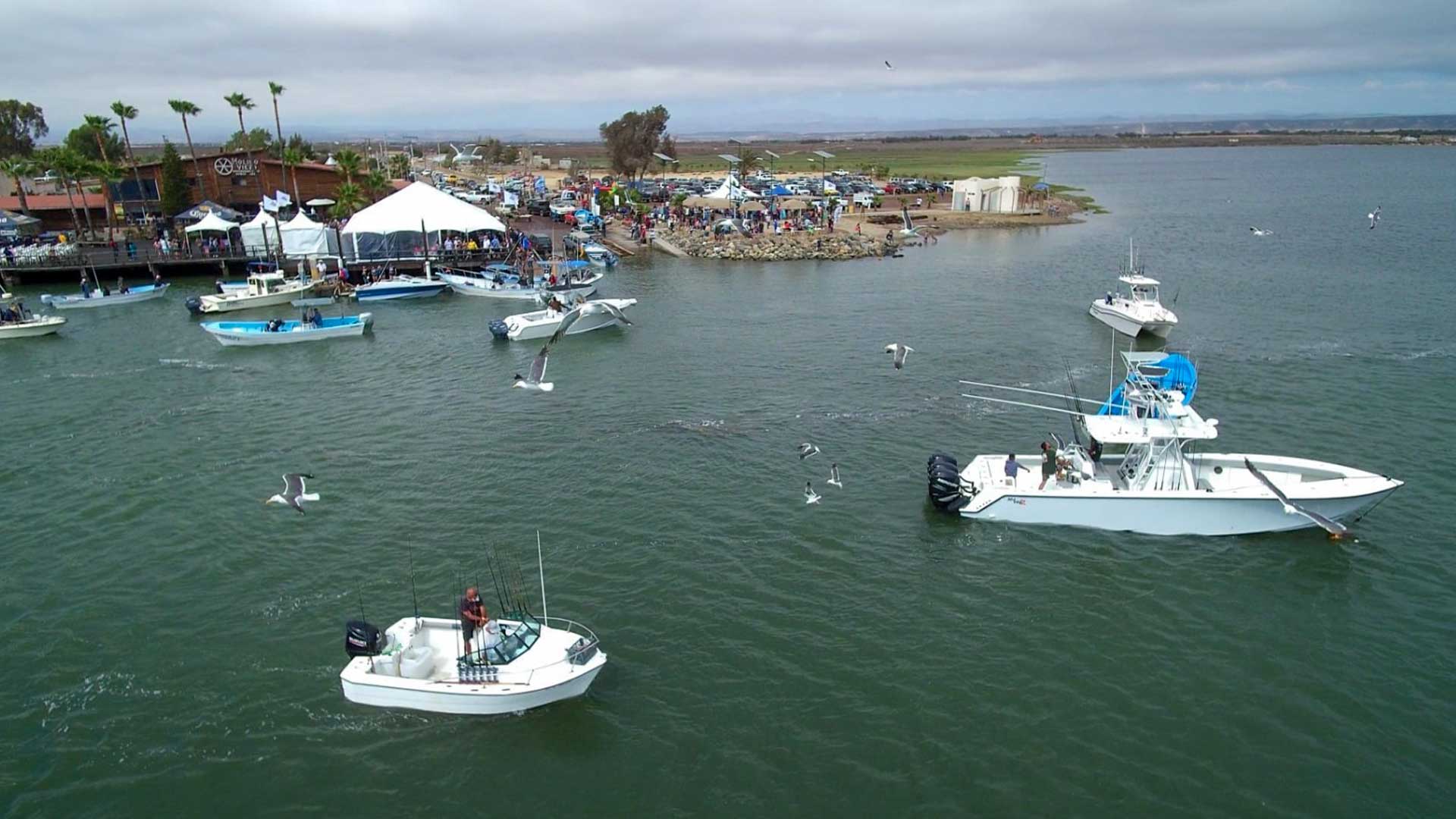 Baja California Sport Fishing Official Website